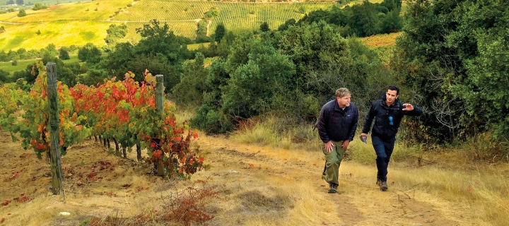 Walking & Hiking Tours - Experience Local | Country Walkers