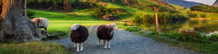Walking Tours in England | Country Walkers