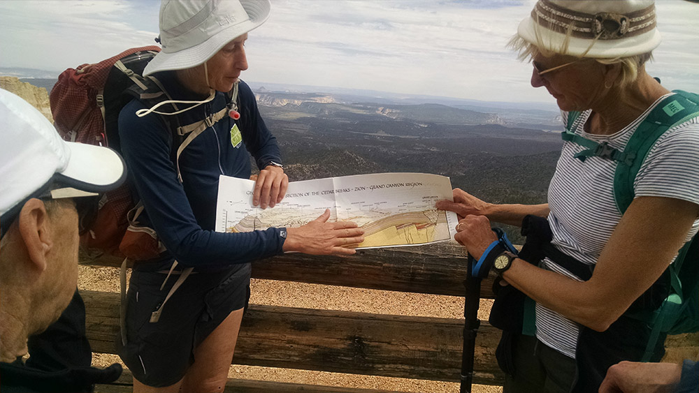 Home Page - Country Walkers