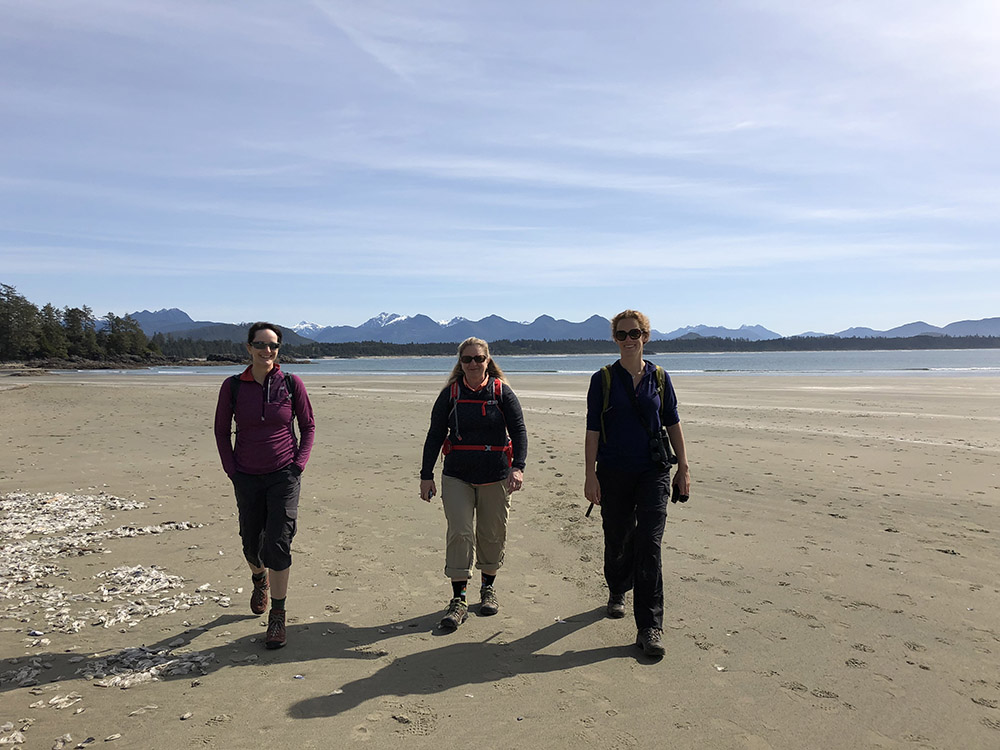 Home Page - Country Walkers