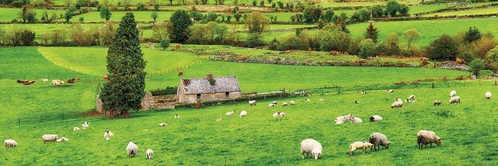 3 Tips for Exploring Galway and the Bucolic Irish West | Country Walkers