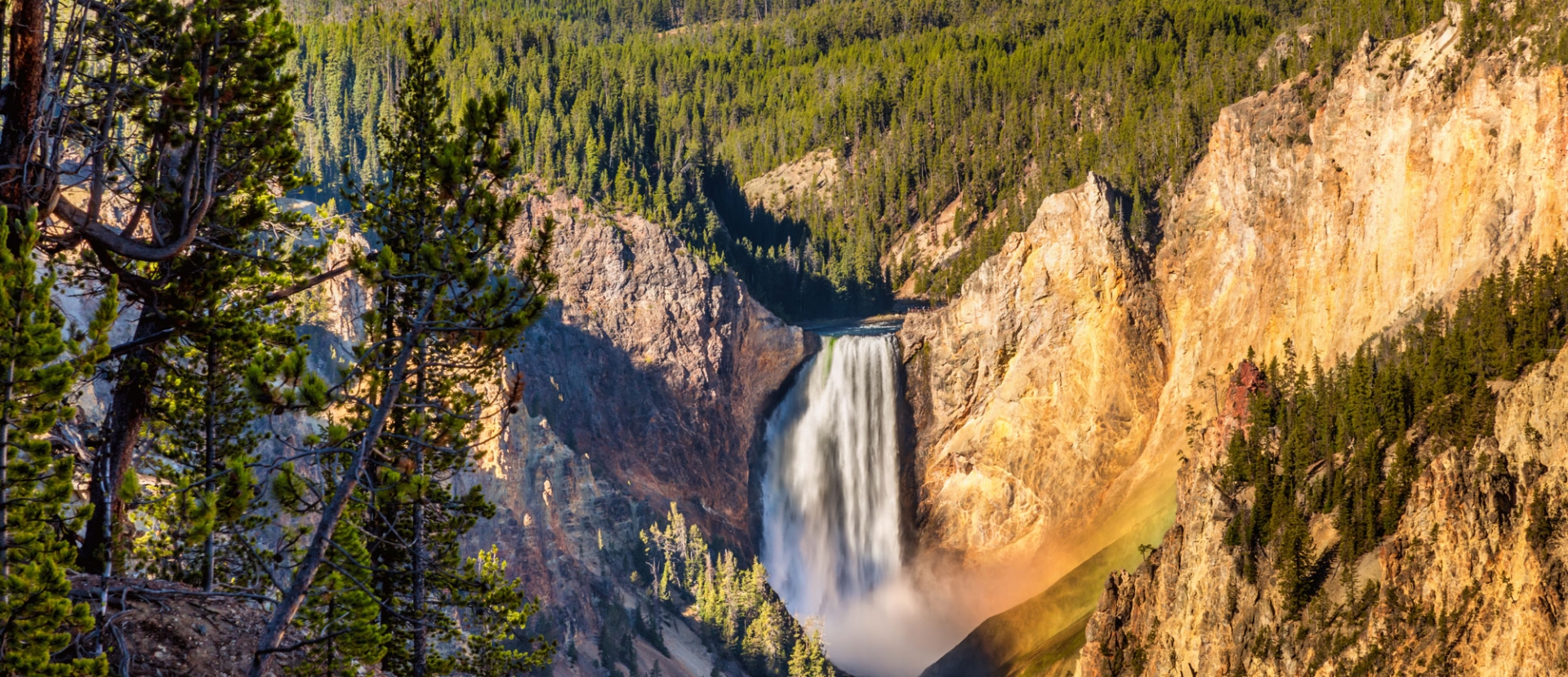 The Top Yellowstone Tips from Our Guides | Country Walkers